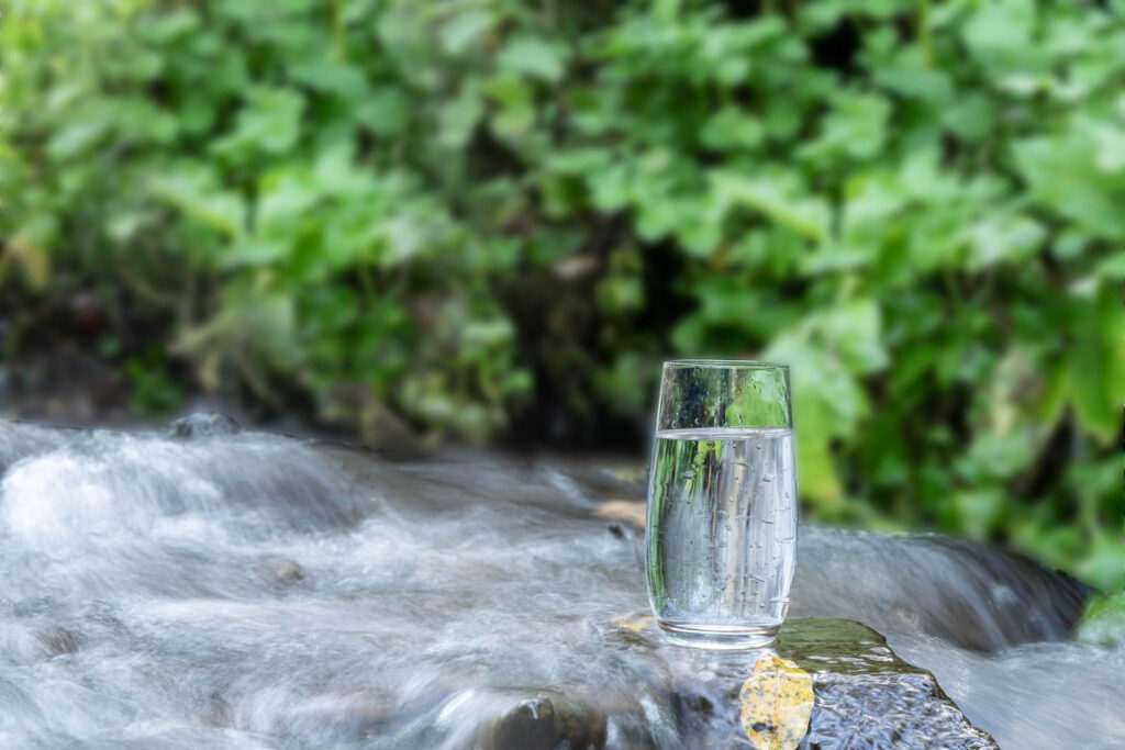 Which Minerals Are Typically Present In Spring Water?